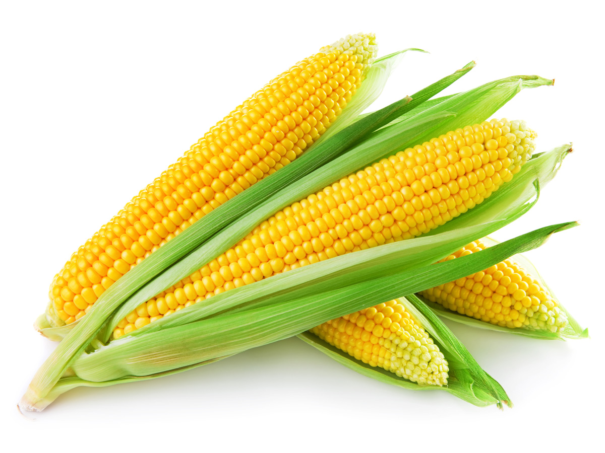 Corn Cutters – Lee Manufacturing Company